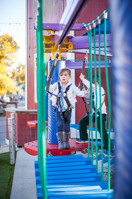 Coconut Climb Ropes Course